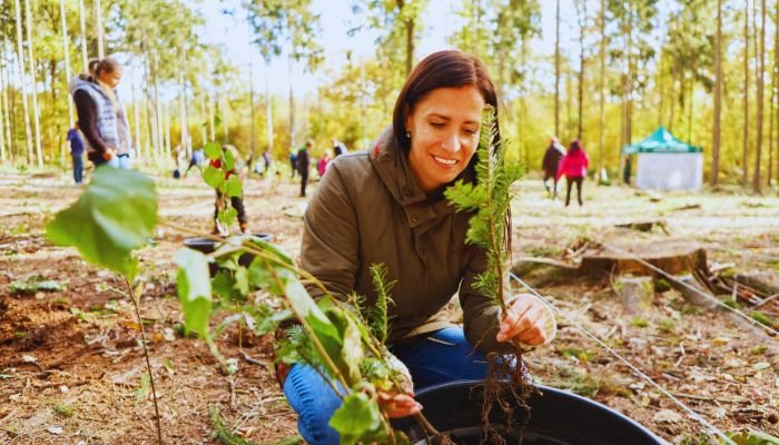¿Qué son las campañas de reforestación? 【Descúbrelo】